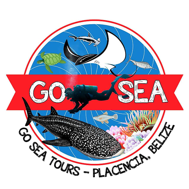 GoSea Tours | Outguided