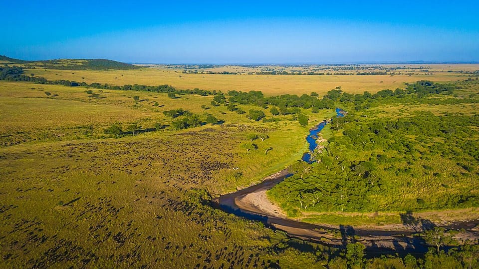 1 Day Maasai Mara Safari - Road Trip | Outguided 1 Day Maasai Mara Safari - Road Trip | Outguided