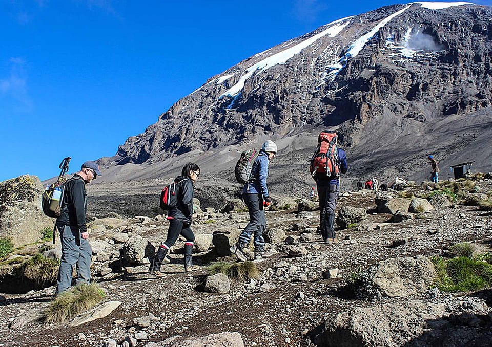 8 Days Lemosho Route | Outguided