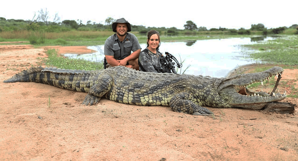 African Nile Crocodile