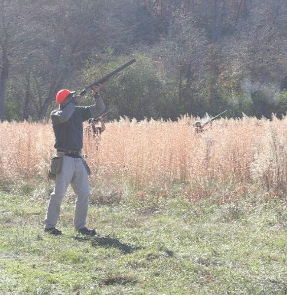 Half-Day North Georgia Guided Pheasant Hunt | Outguided