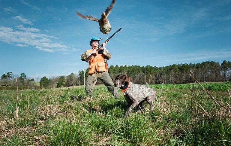 North Georgia's Individual Day Duck Hunt | Outguided