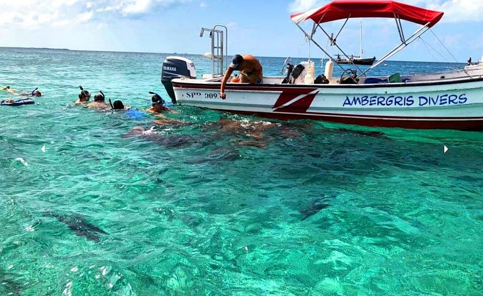 3-Hr Mexico Rocks Snorkelling Tour | Outguided