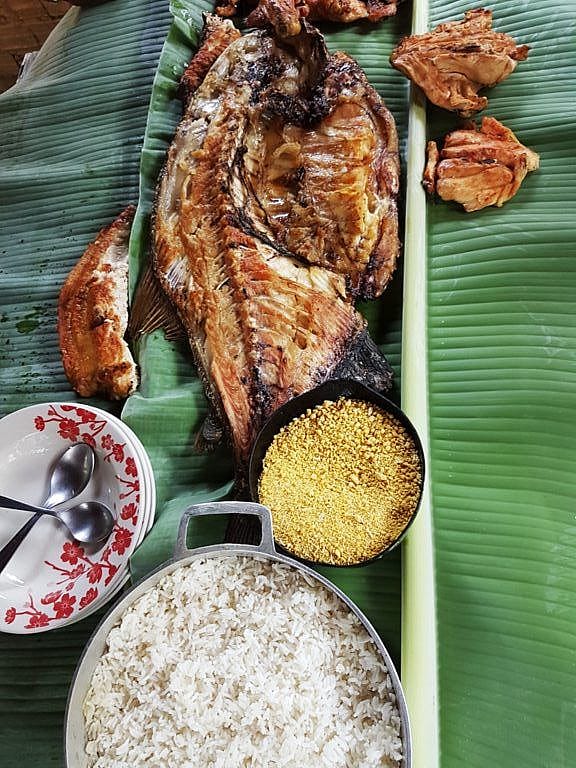 Tucandeira Ants Ritual (Bullet ants) | Outguided