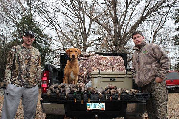 Half-Day Guided Afternoon Duck Hunt with Lodging in Stuttgart, Arkansas ...