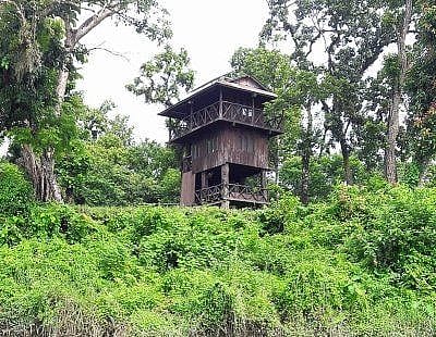 Chitwan Tower Night Stay Package | Outguided