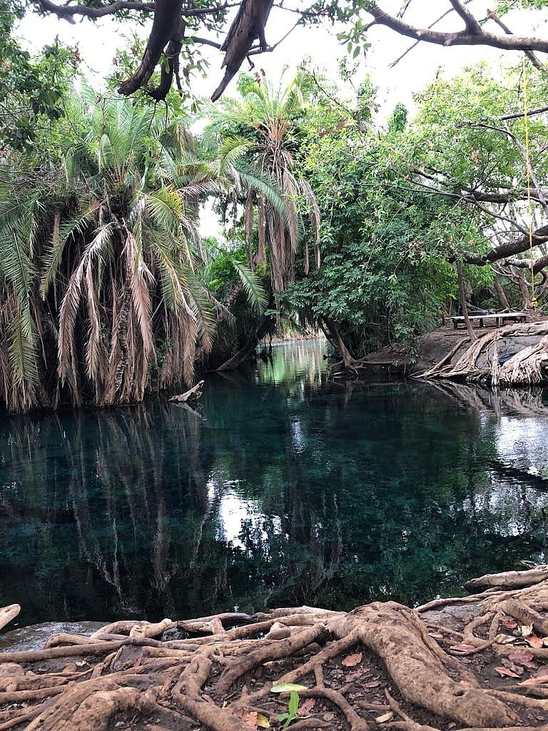Maasai Village Visit & Chemka Hot Springs in Tanzania | Outguided