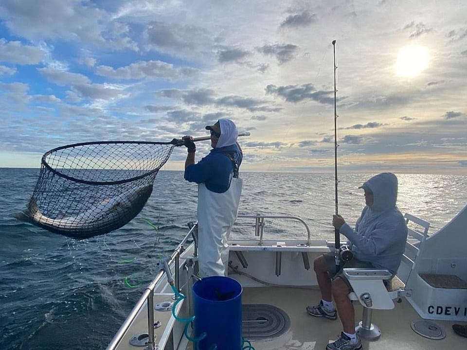 12 Hour Offshore Deep-Sea Charter Fishing Trips | Outguided