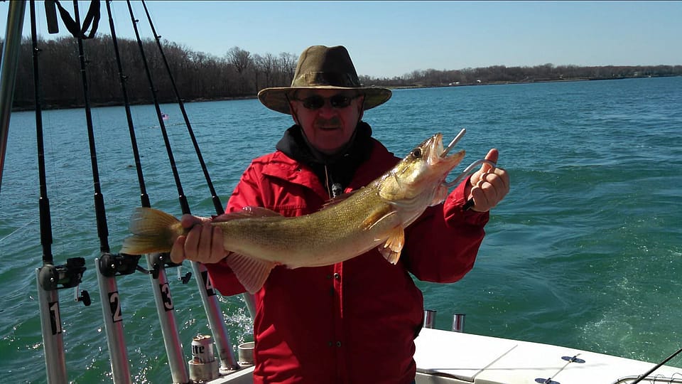 Full Day Yellow Perch Fishing Trip on Lake Erie | Outguided