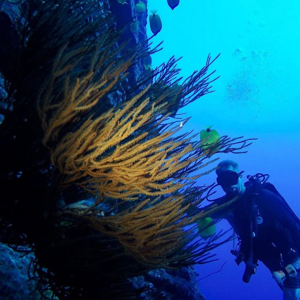 Wreck Dive on the South Shore of Oahu | Outguided