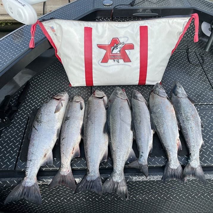 Fall Chinook | Outguided