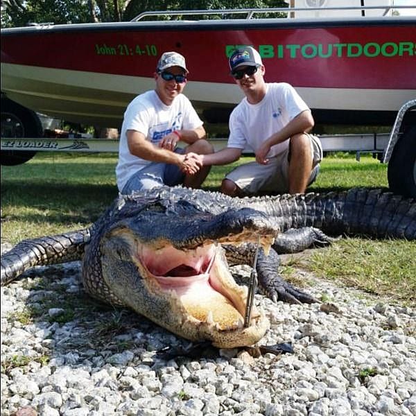 Trophy Gator Hunt | Outguided