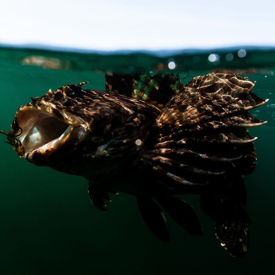 3-Day 4-Night Fishing from Port Eliza Floating Lodge | Outguided