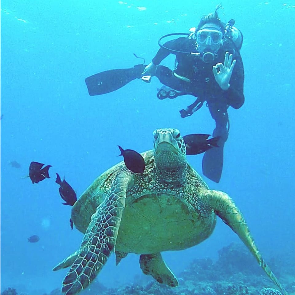 Wreck Dive on the South Shore of Oahu | Outguided