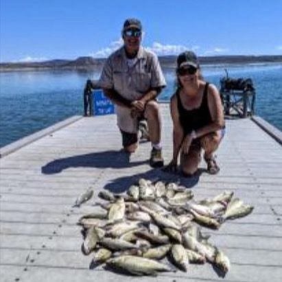 Exciting Charter on Caballo Lake | Outguided