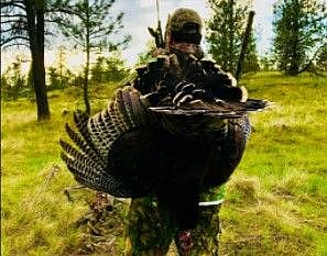2-Day Washington Turkey Hunt | Outguided
