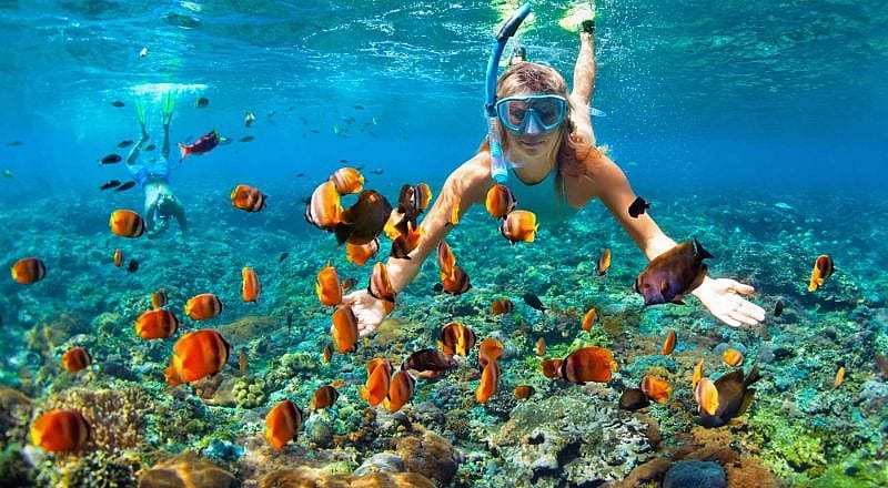 4 Hour Snorkel and Swim With Turtles in the Bahamas | Outguided